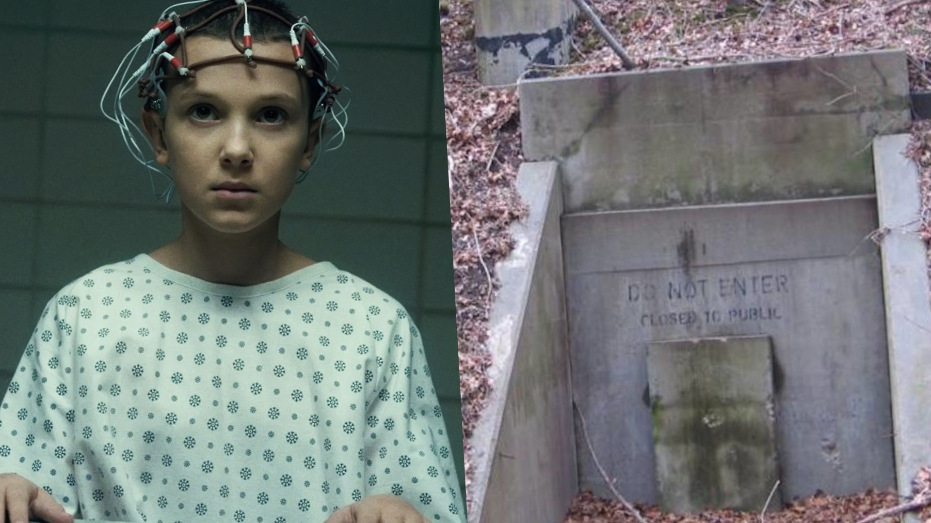 Montauk: A História do Projeto que Inspirou Stranger Things